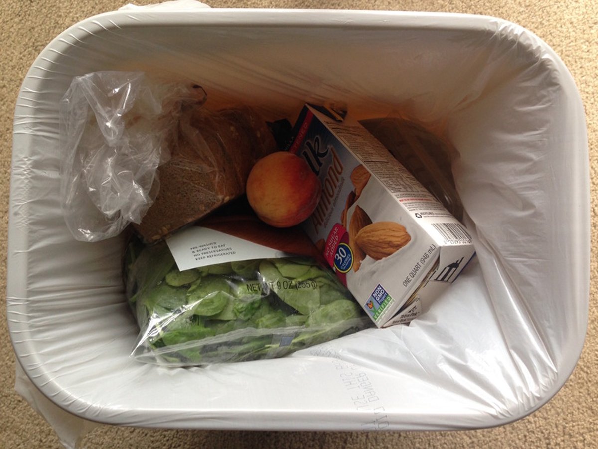 How I Used Food Waste to Justify my Binge Eating