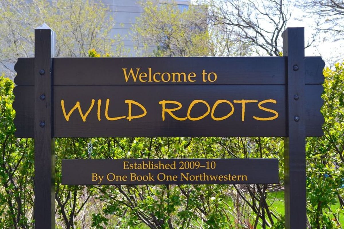 On Campus: Wild Roots