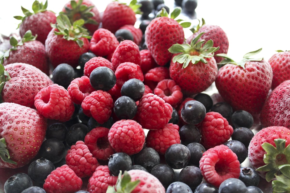 ferfef fefef | Spoon University