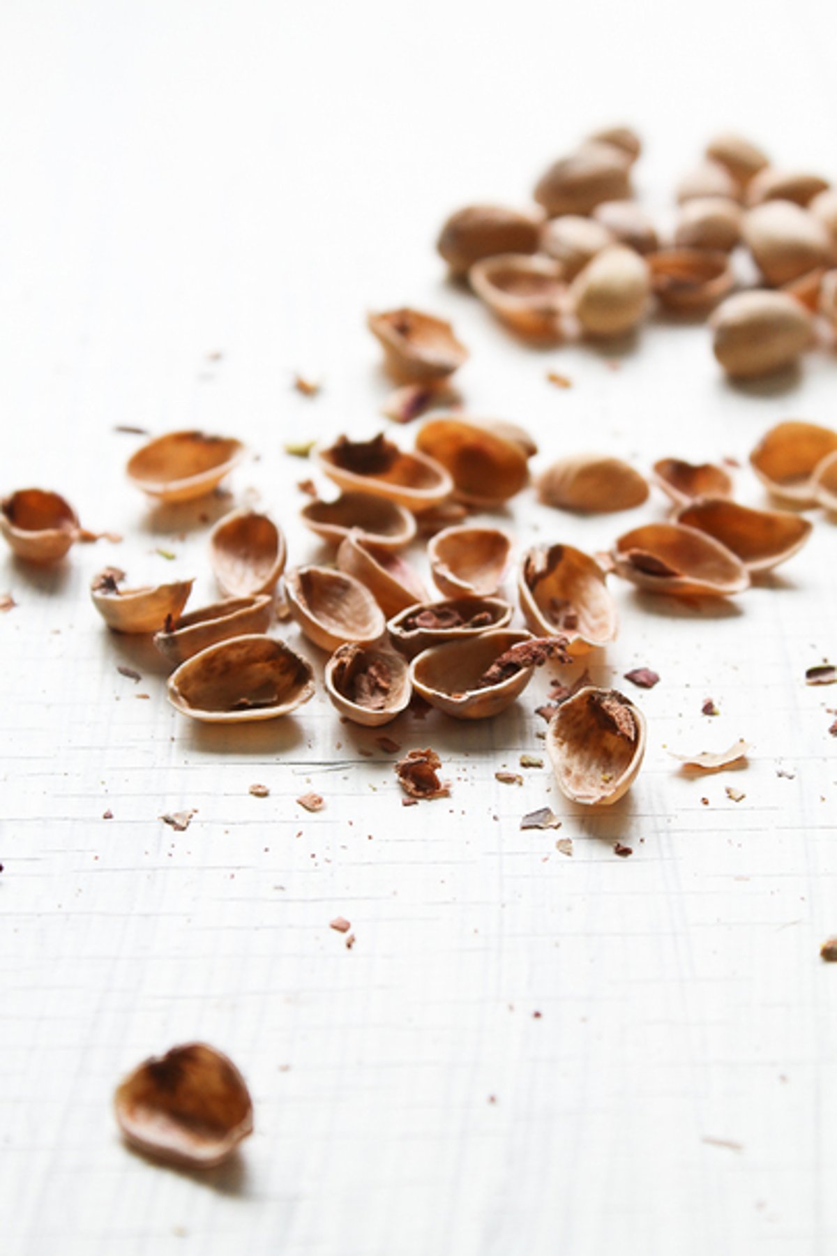 Let's Turn Pistachio Shells into Fuel