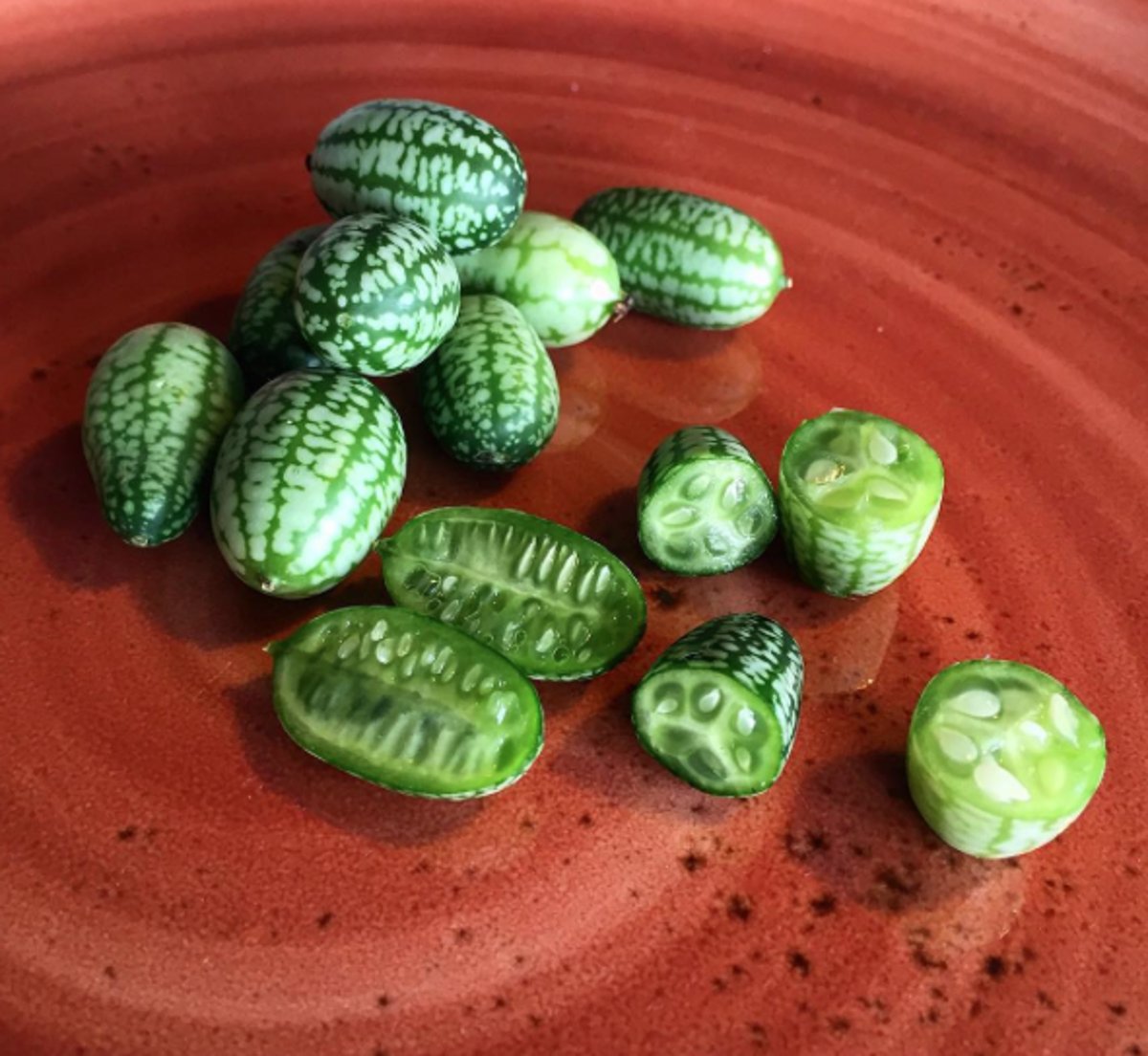 Here's Everything You Need To Know About A Cucumber You've Never Heard Of