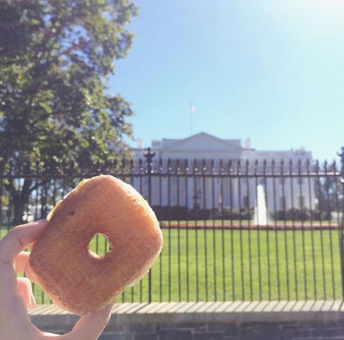 How to Eat Your Way Through George Washington University in a Day