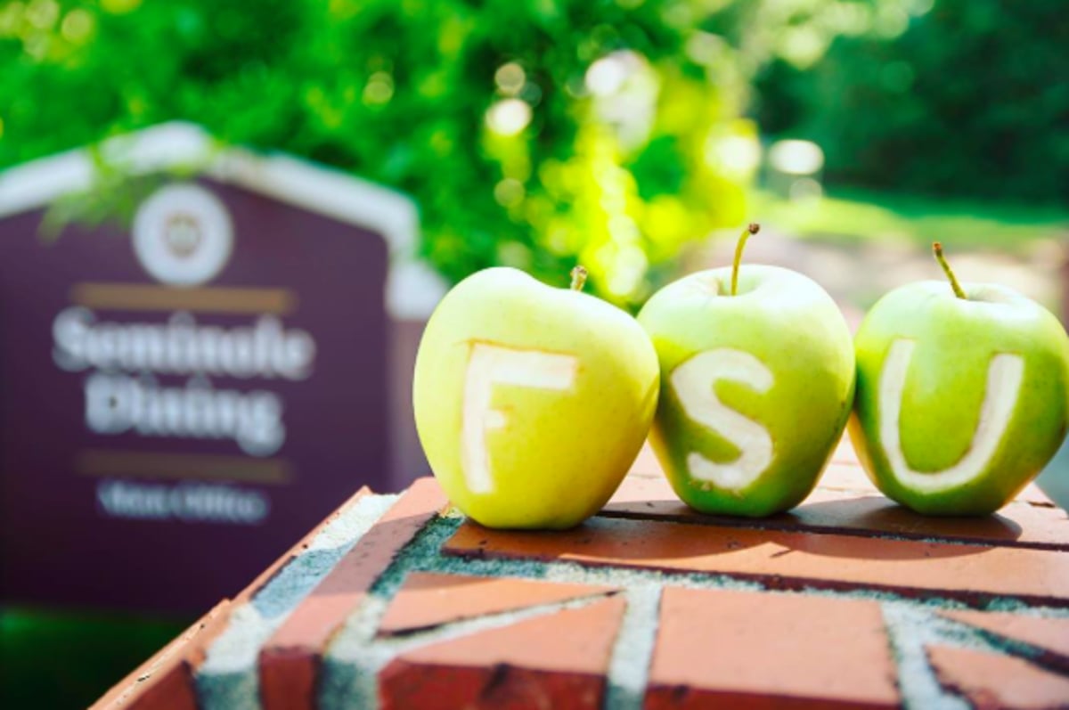 Where to Eat On FSU's Campus, Depending Who's Visiting