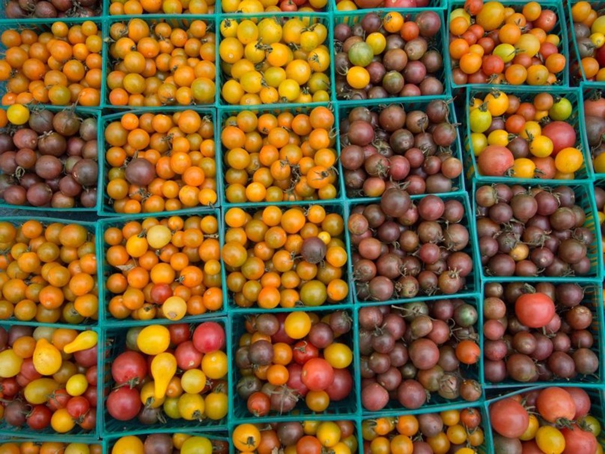 The Best Amsterdam Food Markets You Should Visit
