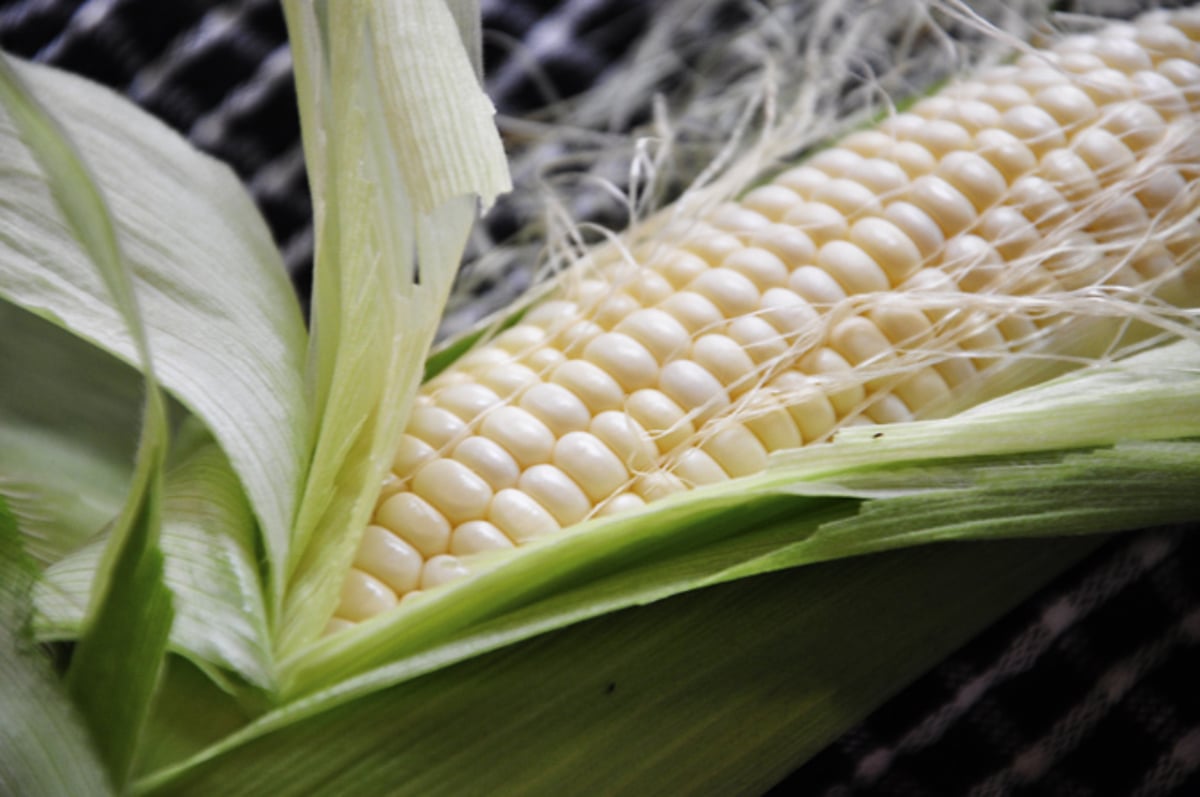 Corn Is Subsidized by the Government, and Here's What That Means