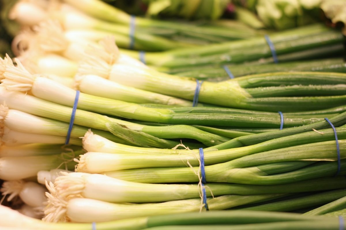 spring onion like vegetable