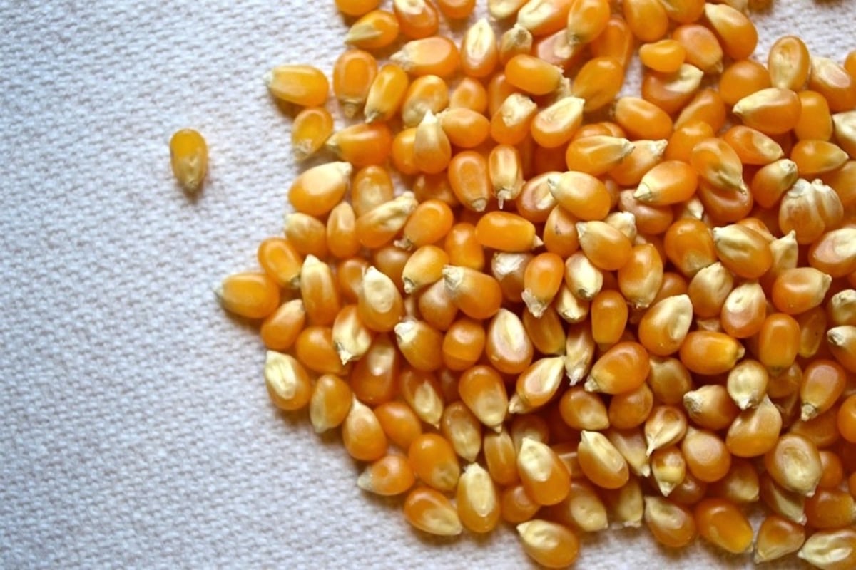 Make Your Movie Night POP with These Creative Popcorn Recipes