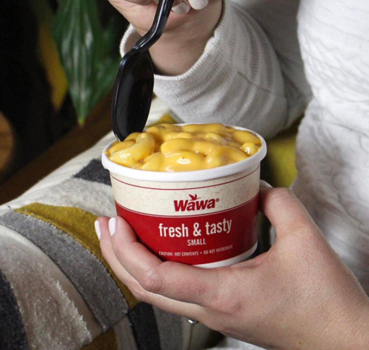 9 Foods That You Never Knew Wawa Sold