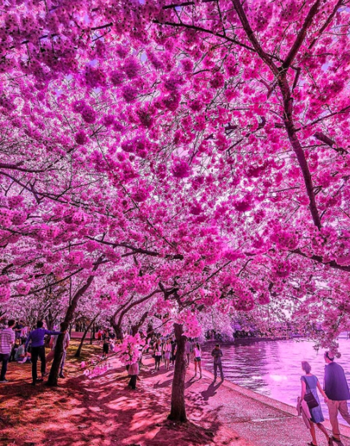 5 Ways To Pump Up Your Spring Mood This Season