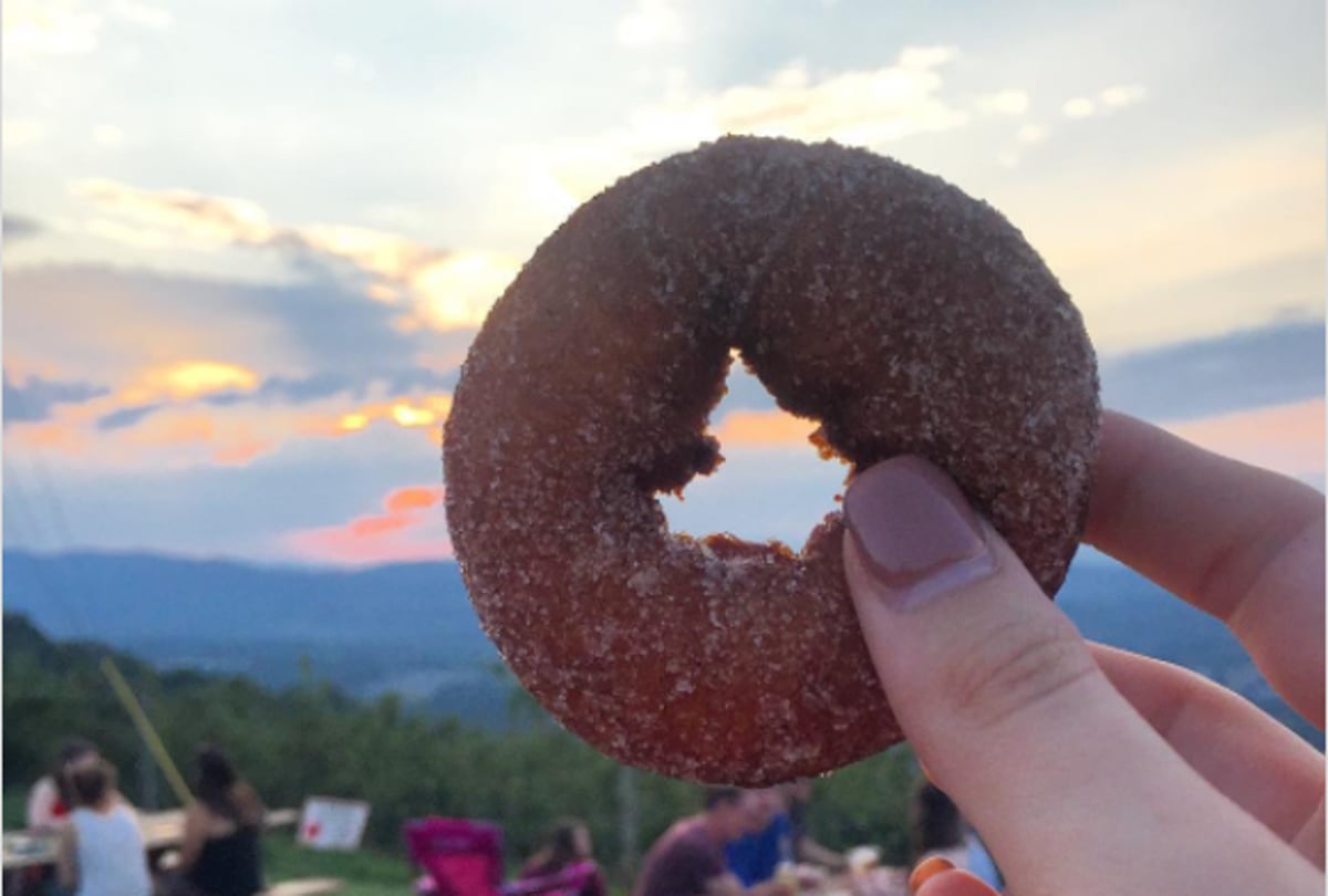 Where to Eat On and Around UVA's Campus, Depending On Who's Visiting