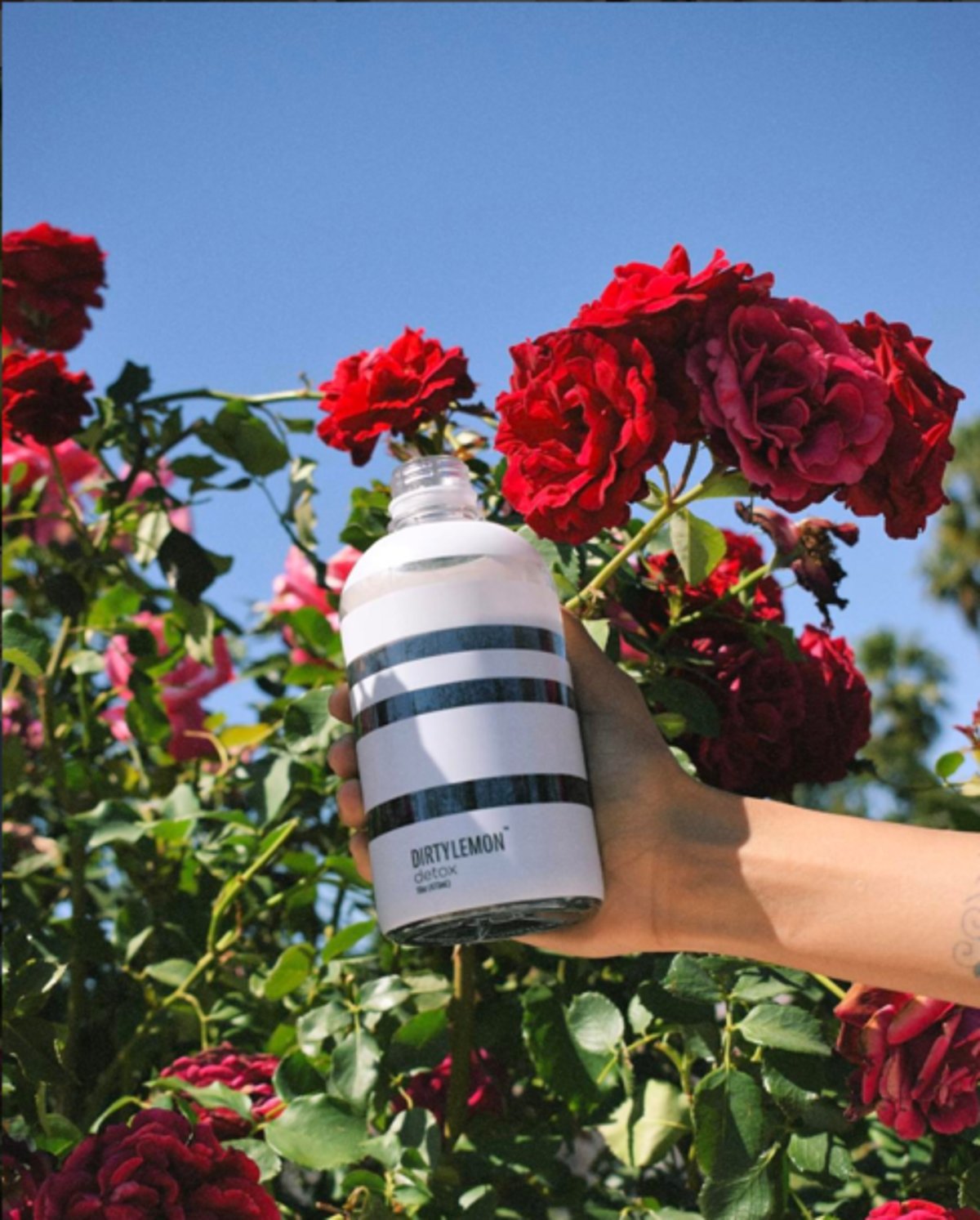 Why Dirty Lemon Detox Drink is Better Than a Juice Cleanse
