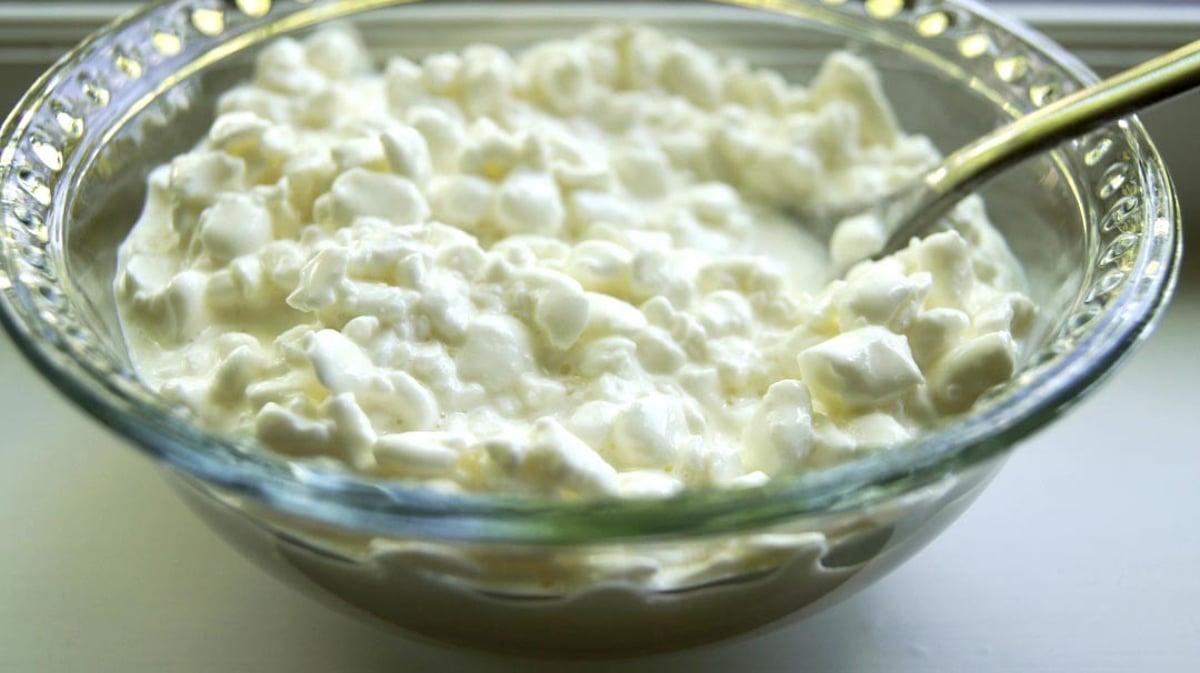 Why Cottage Cheese Is The Superfood That You Need in Your Diet