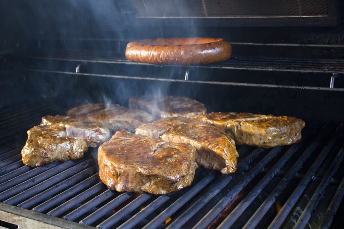Grillmaster 101: Definitive Ranking of Best Cookout Meats and Styles