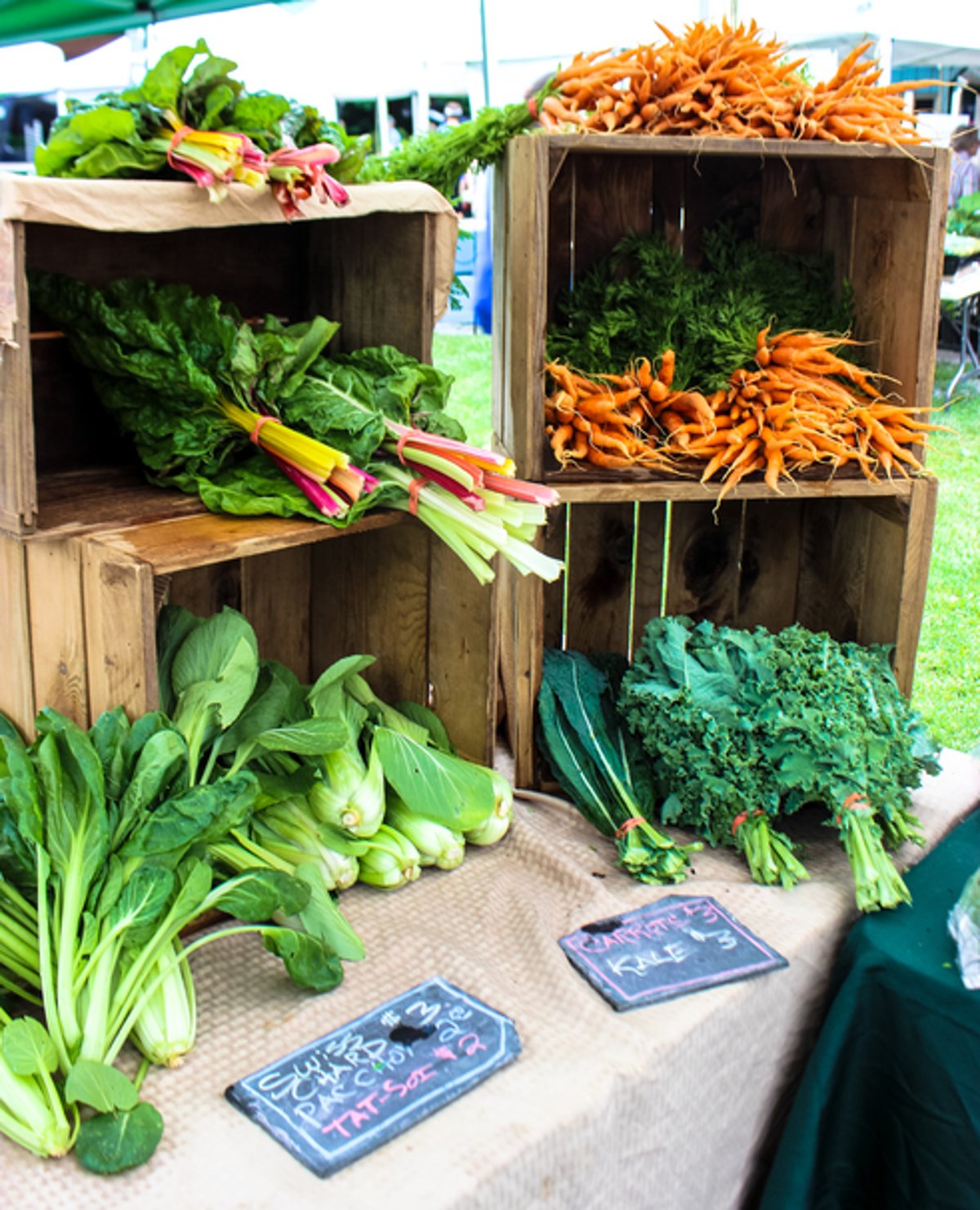 Feeling Full After Eating: The Science Behind Why This Happens