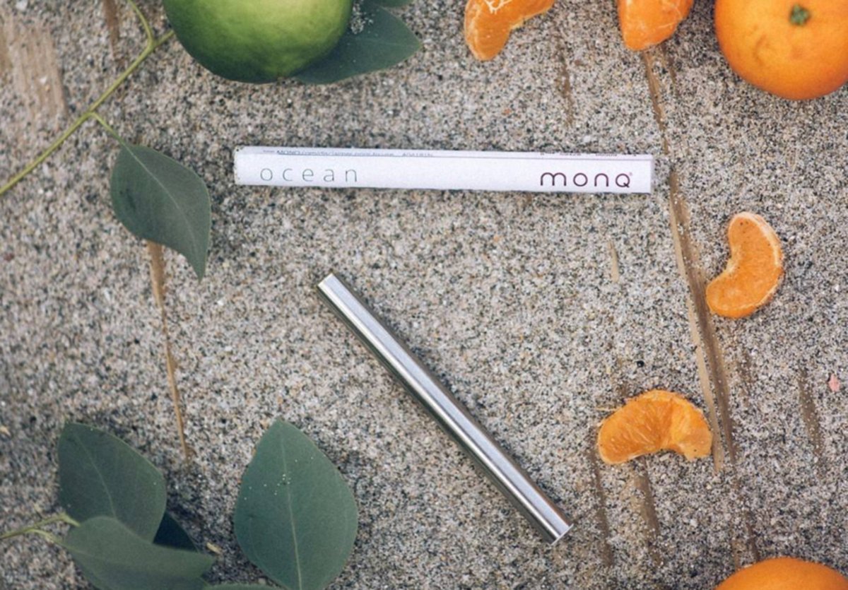 Everything You Need to Know About MONQ