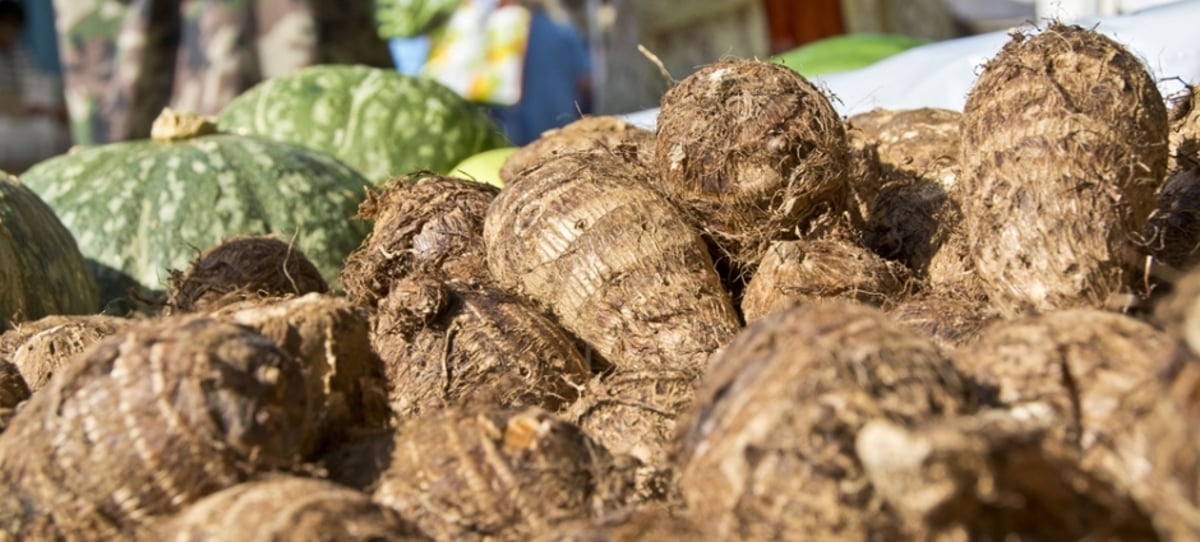 The 11 Taro Root Benefits You Need to Know