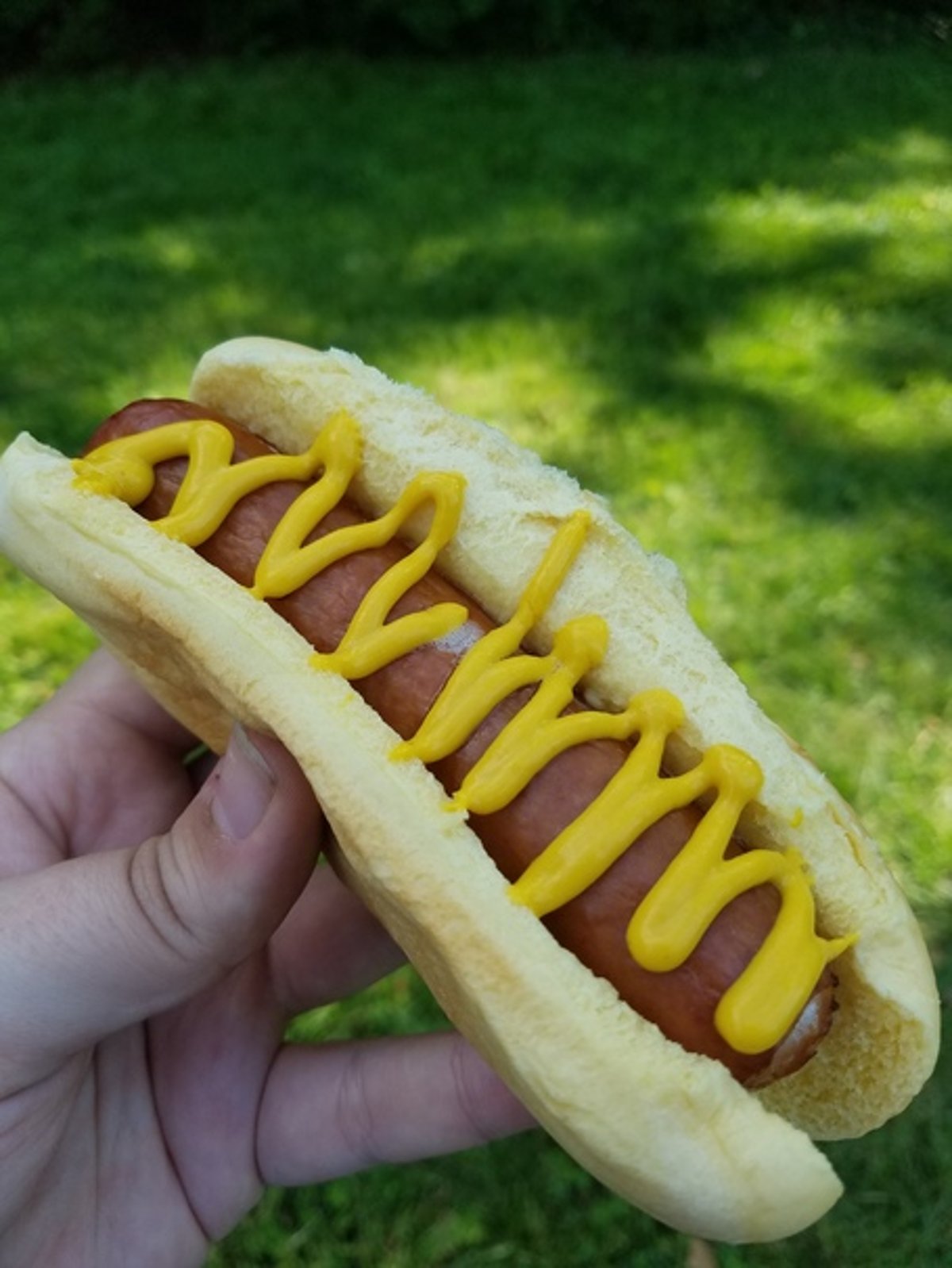 What Is Mustard? Here Are the Common Types You Should Know About