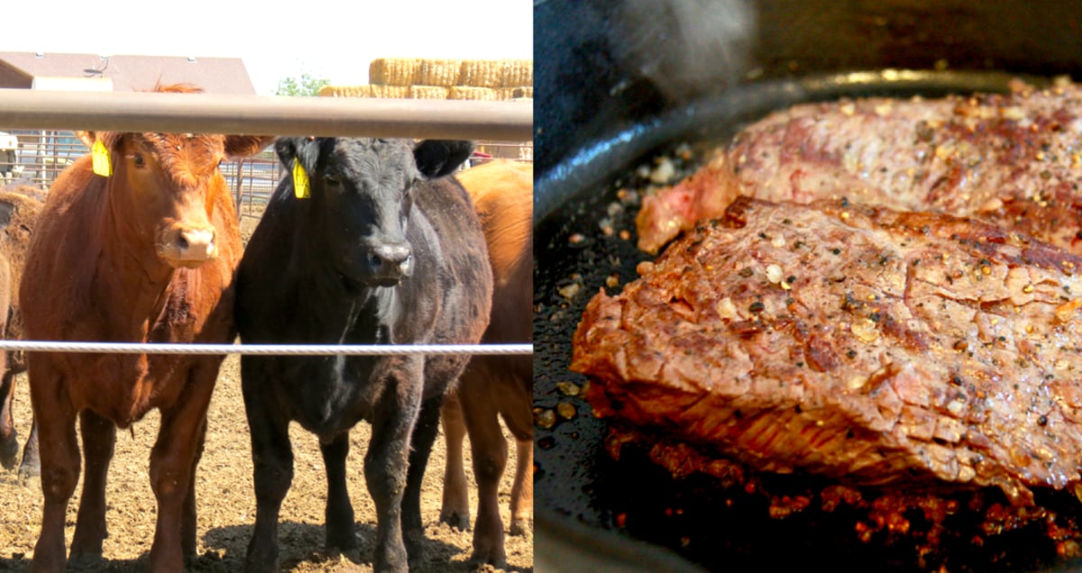 Why Is it Called Beef When It's From Cows?