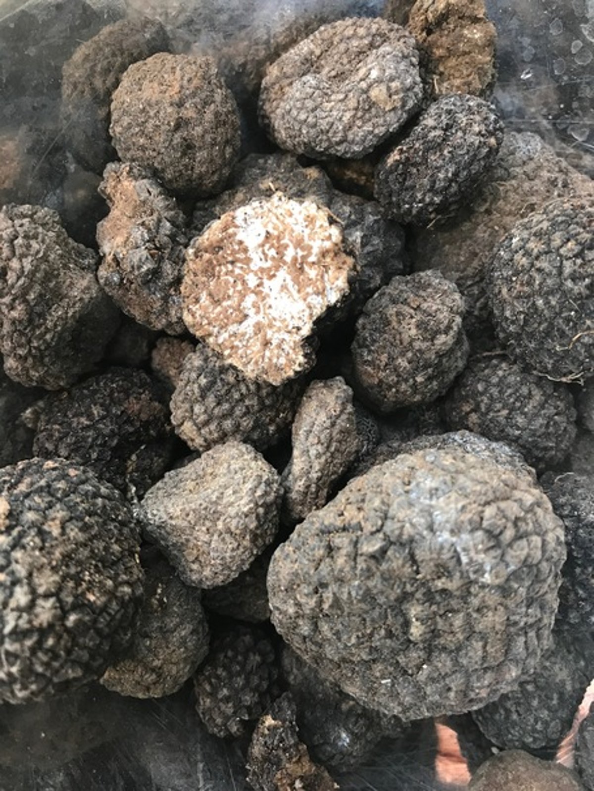 Why Truffles Are So Expensive and How to Eat Them for Cheap