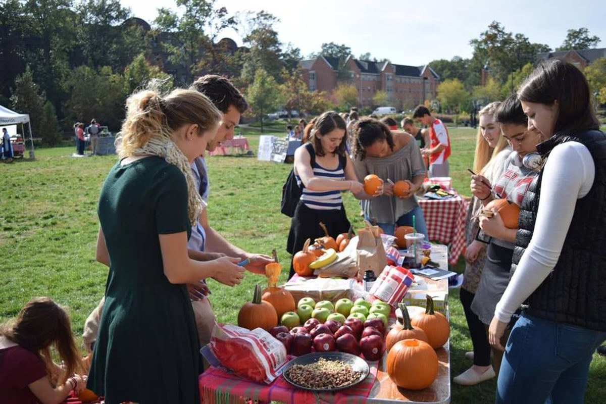 A Sustainable Harvest Festival at WashU Brings Local Foods to Campus