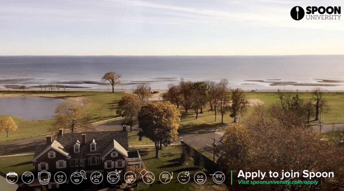 5 Reasons To Join Spoon at University of Bridgeport