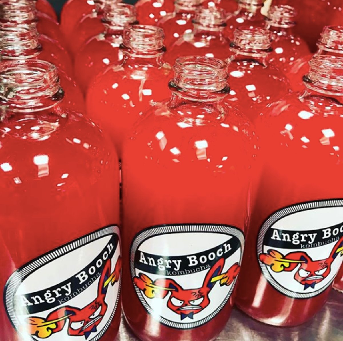 Why We All Need the Farmer's Market Kombucha In Our Lives