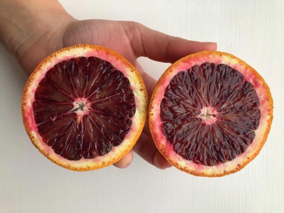 purple oranges inside