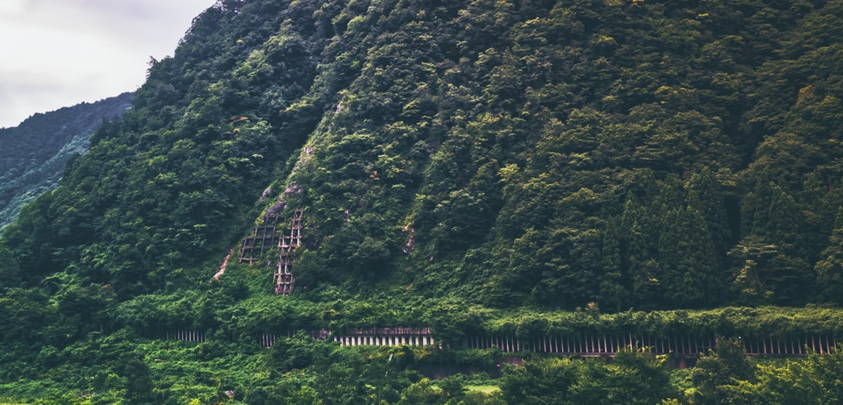 Unique Pro Photography Lessons and Tips From An Amateur Photographer