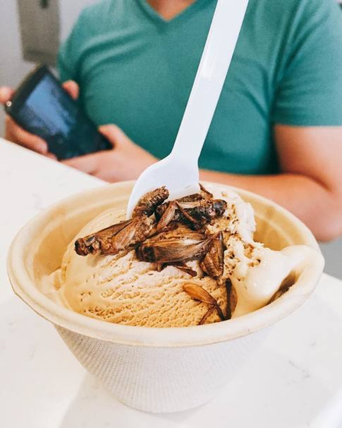 What's So Good About Eating Crickets?