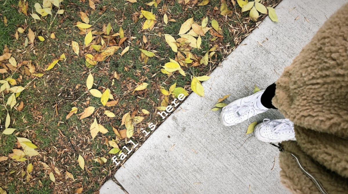 An Autumnal Guide for the Syracuse Foodie