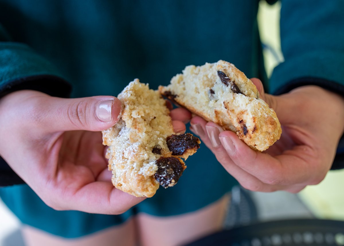 The Ultimate Scone Scavenger Hunt: The Best Scones in Gainesville, FL.