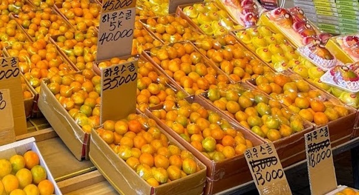 My Food Adventure in South Korea: Jeju Island Exclusive