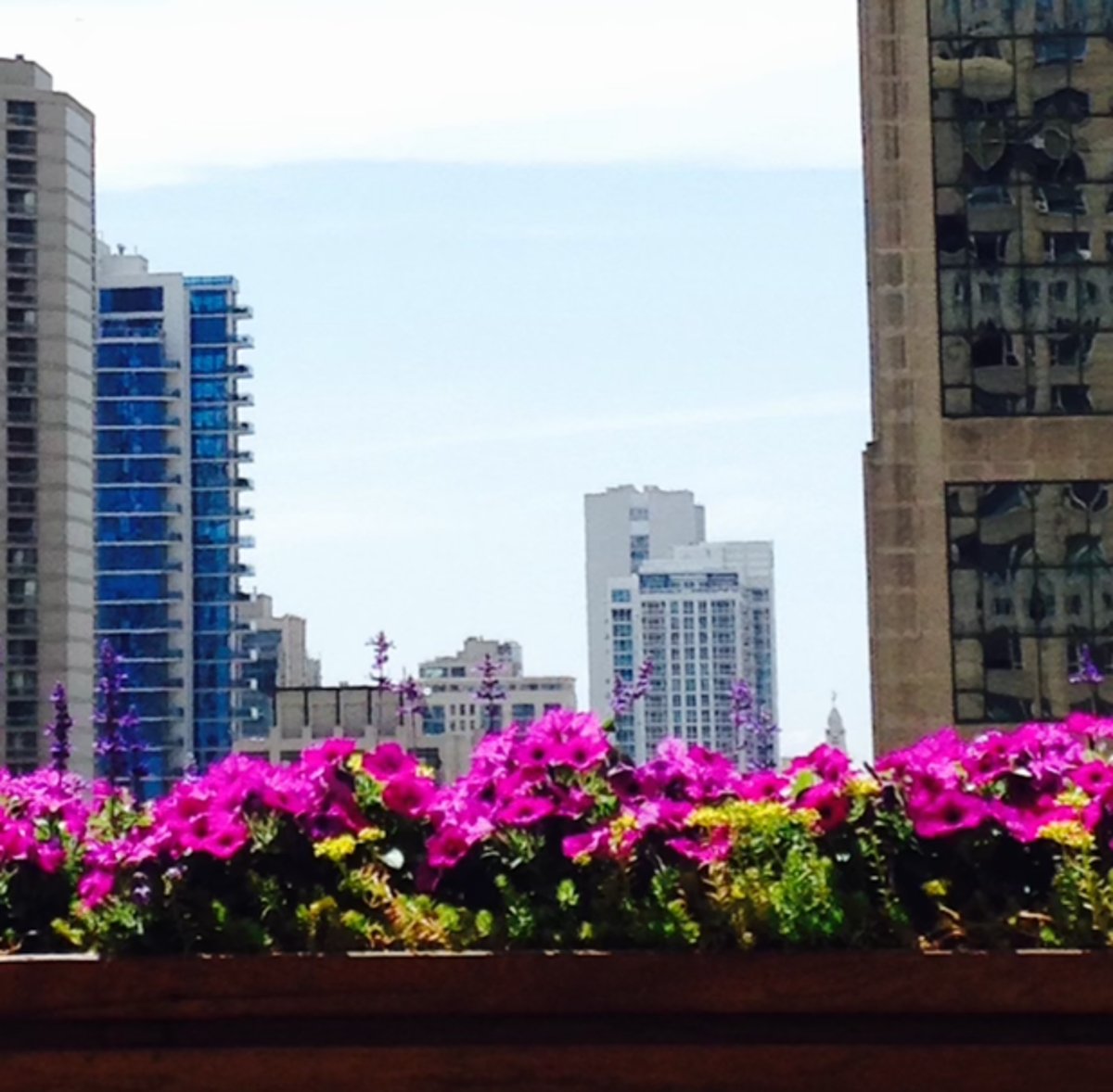 A Year of Transition: Transferring Food Scenes