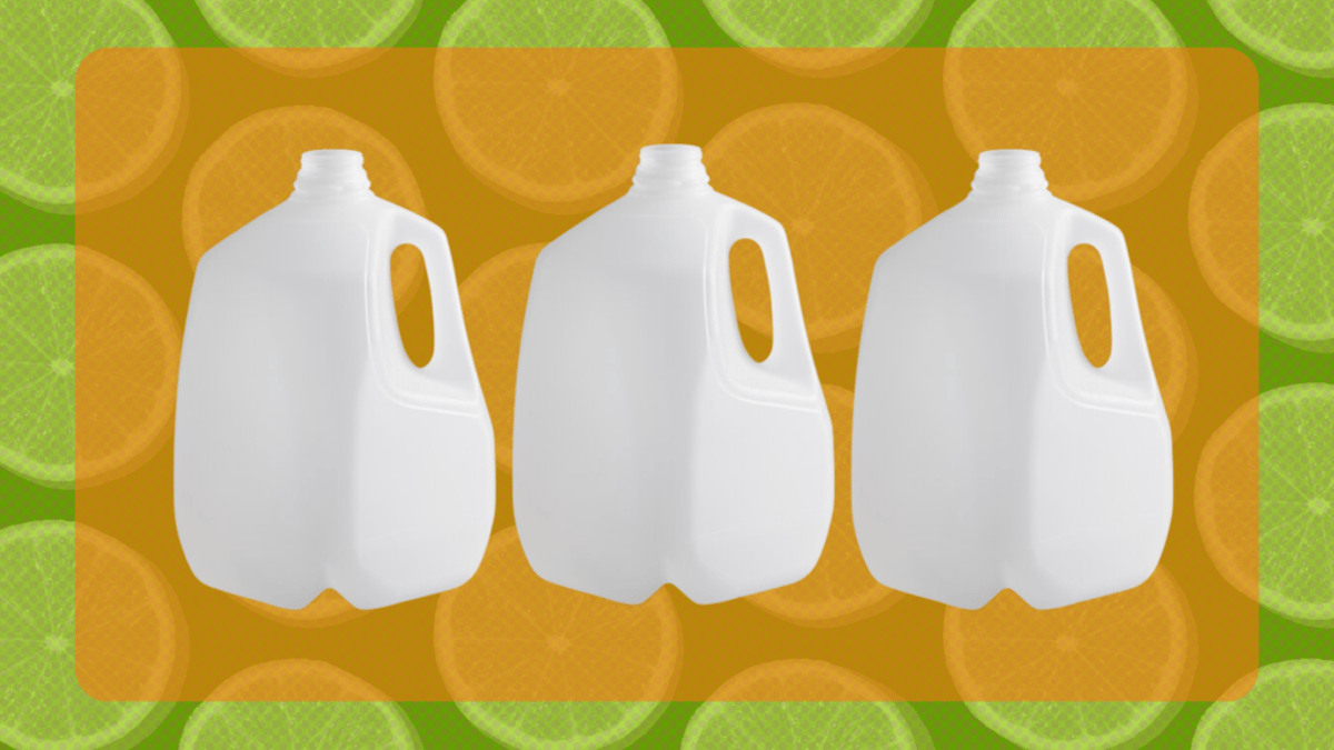 The Best Tequila Borg Recipes — Best Borg Recipes