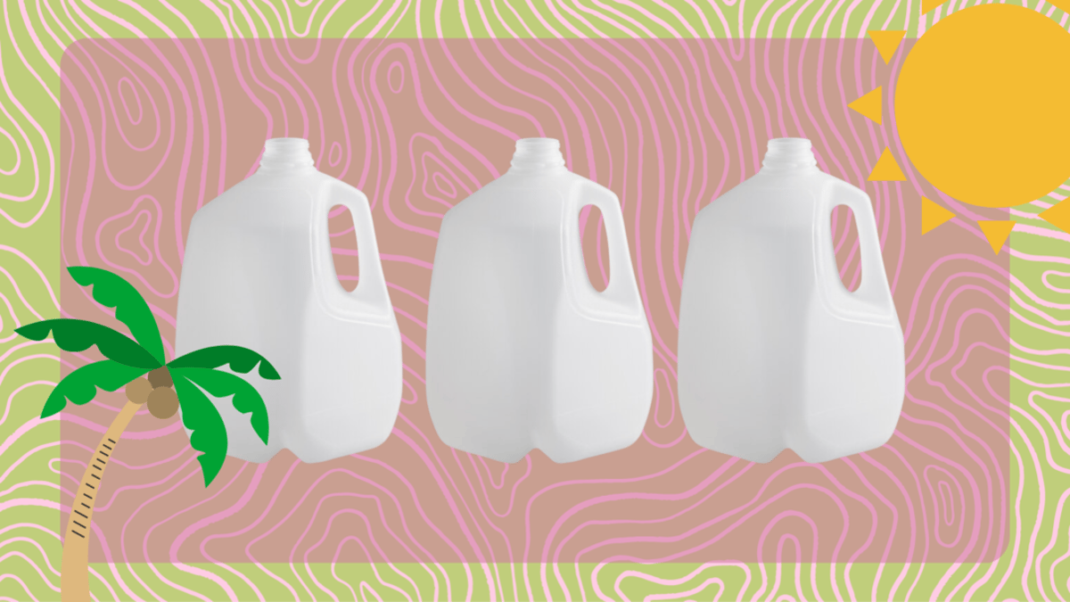 The Best Summer Borg Recipes For Poolside Sipping