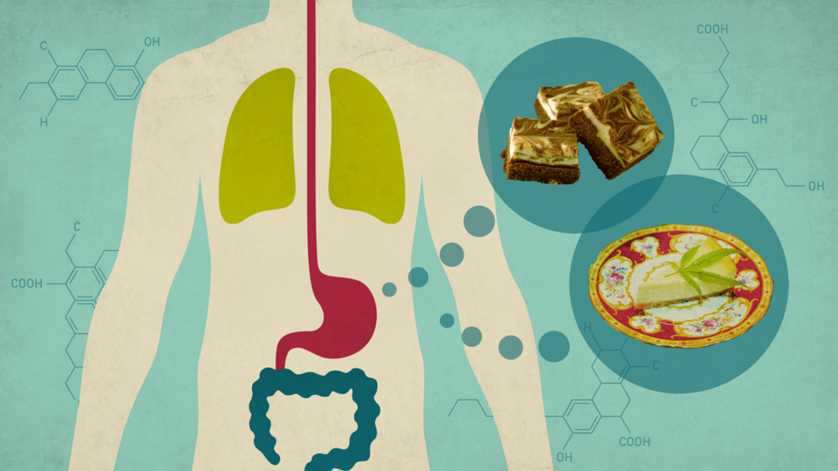 Why Do I Get The Munchies When I Get High?