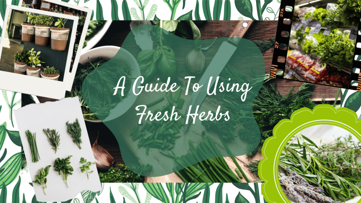 Here's How To Pick, Store, And Use Fresh Herbs