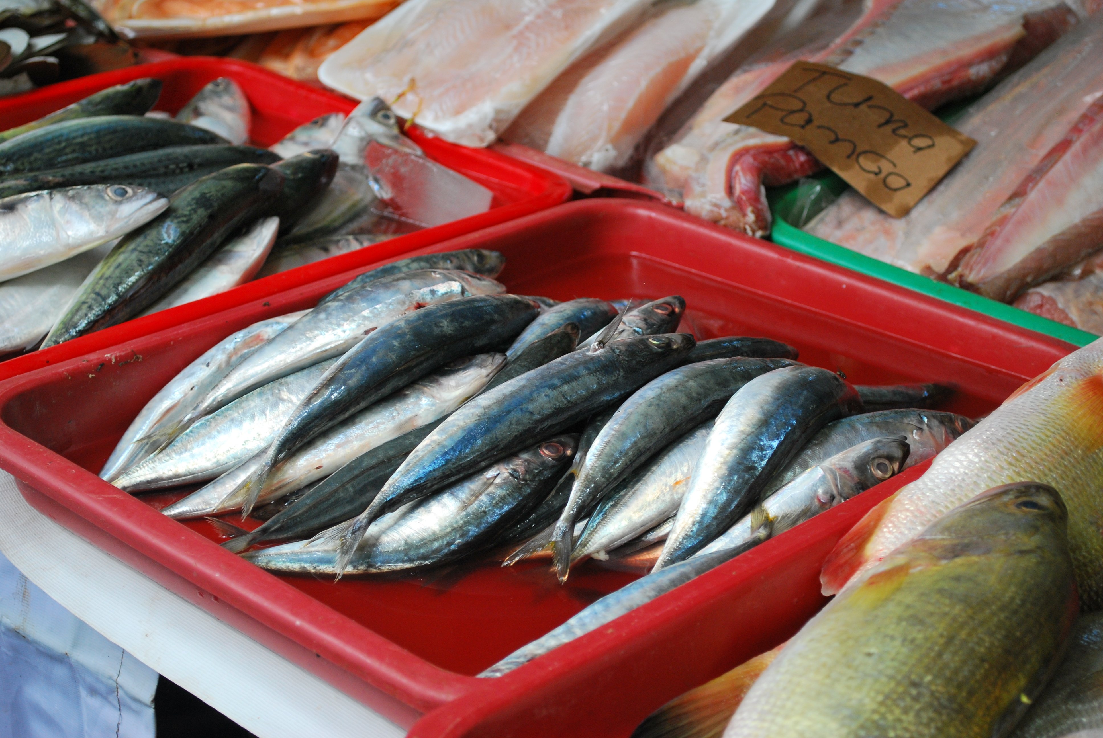 how to cook fish so it doesnt smell